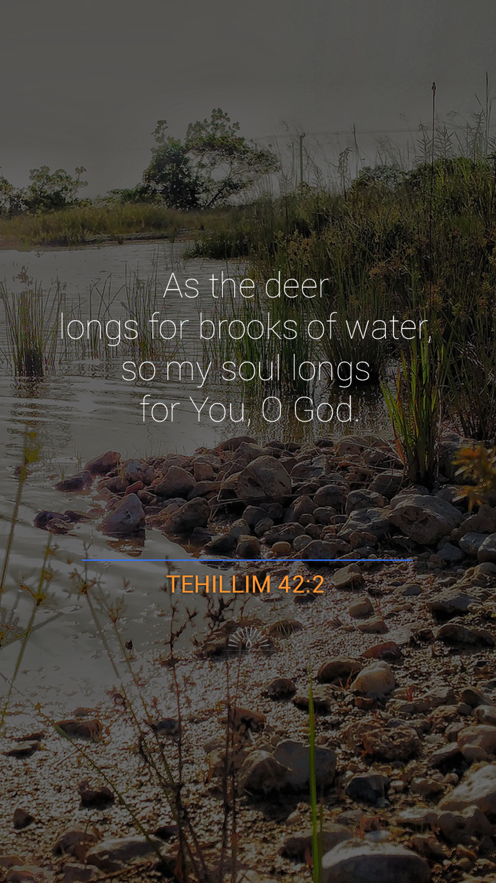 Psalms Chapter 42 | Daily Holy Bible Reading