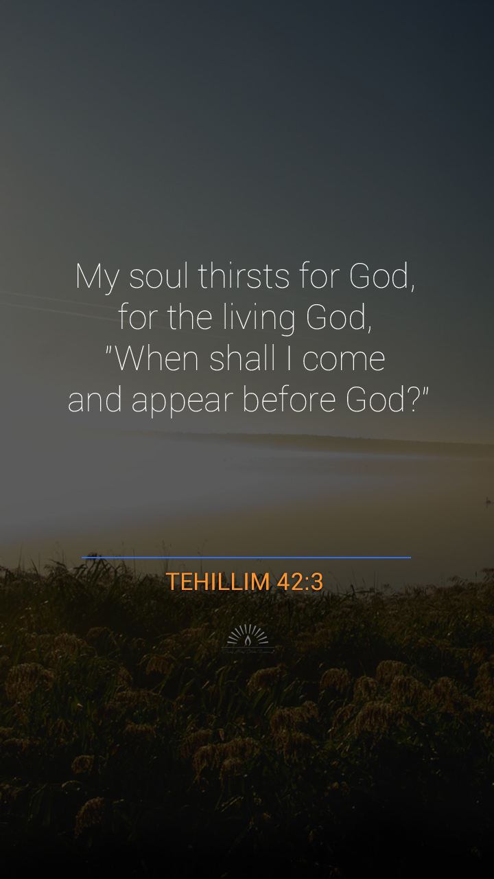 Psalms Chapter 42 | Daily Holy Bible Reading