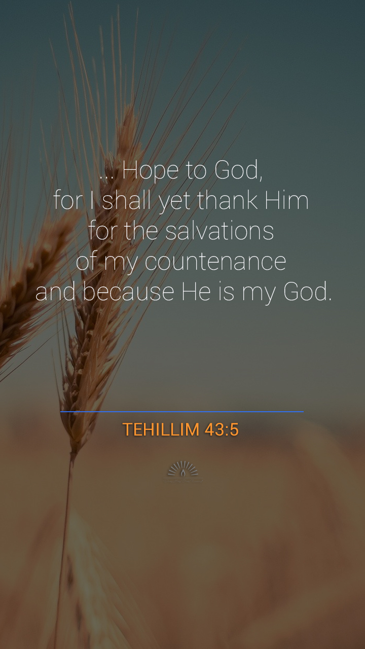Psalms Chapter 43 | Daily Holy Bible Reading