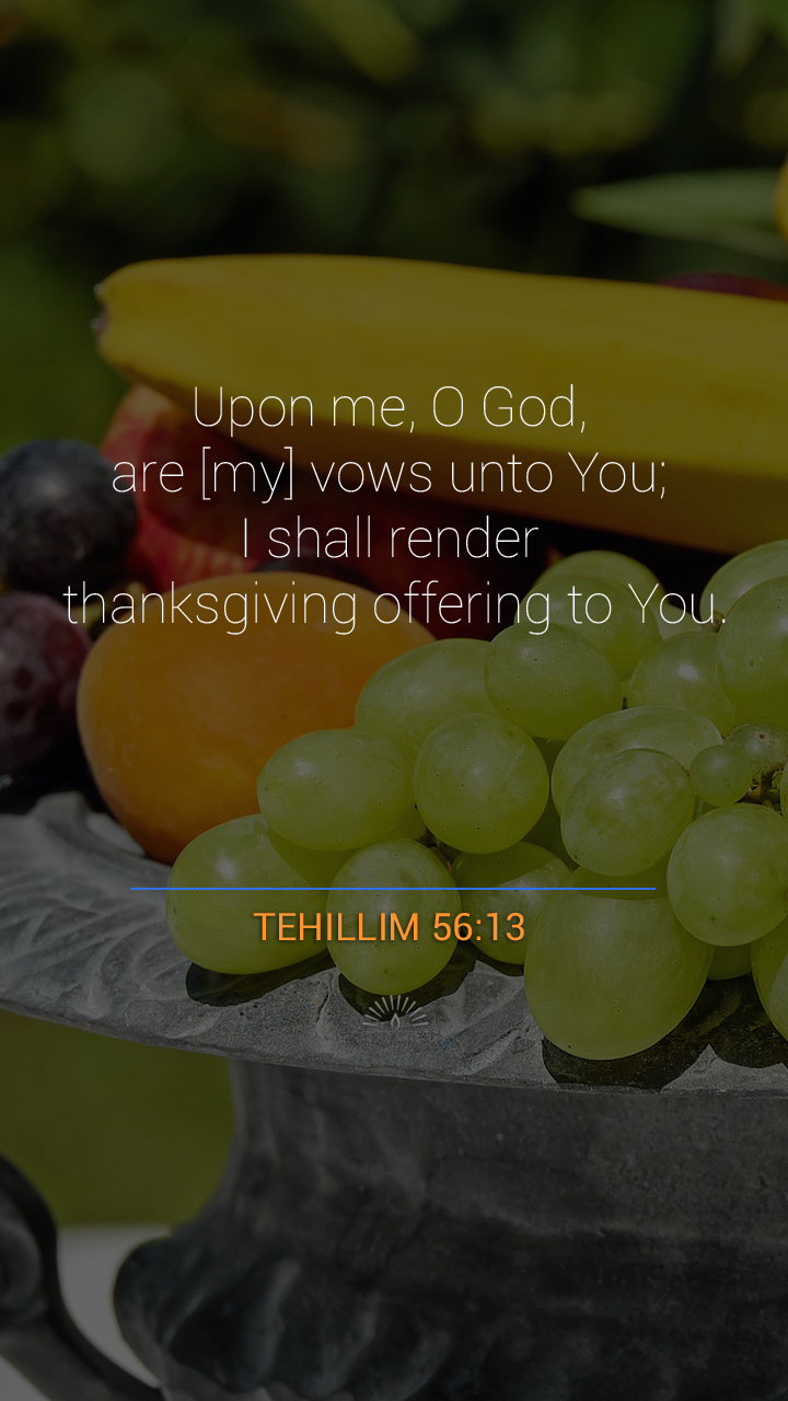 Psalms Chapter 56 | Daily Holy Bible Reading