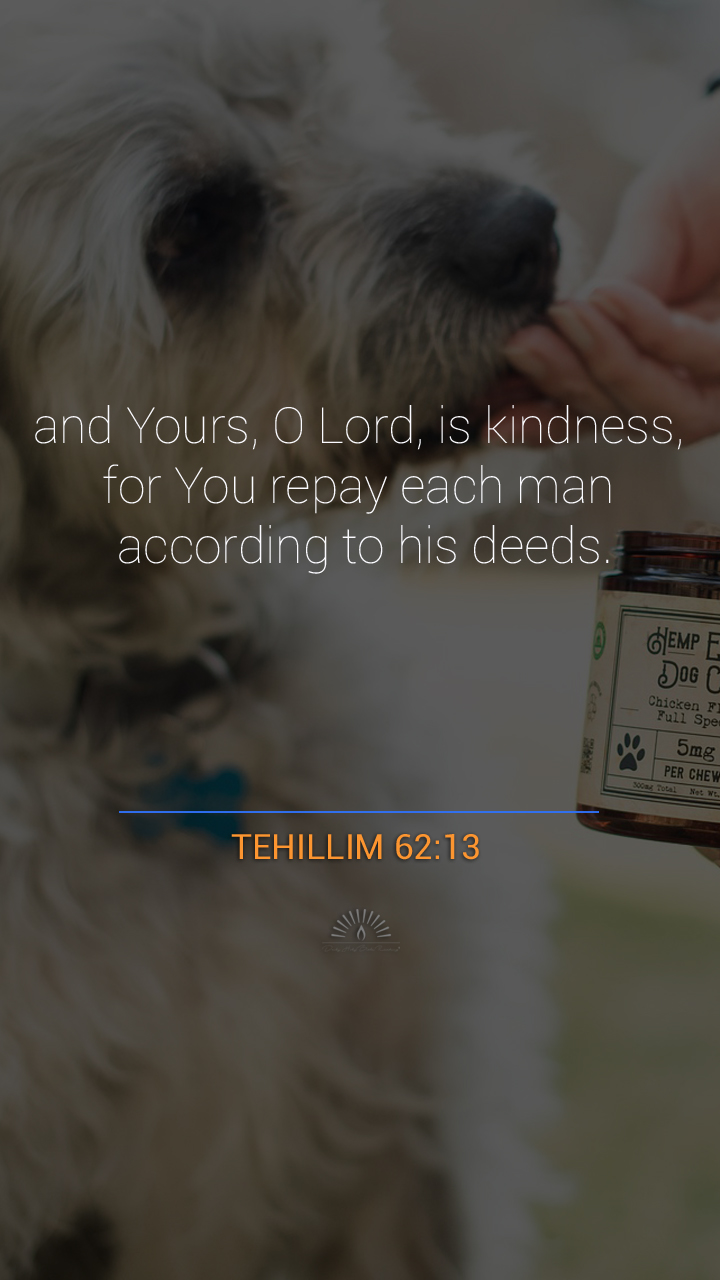 Psalms Chapter 62 | Daily Holy Bible Reading