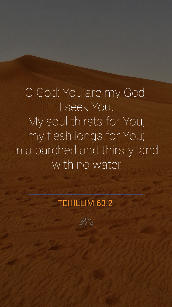 Psalms Chapter 63 | Daily Holy Bible Reading