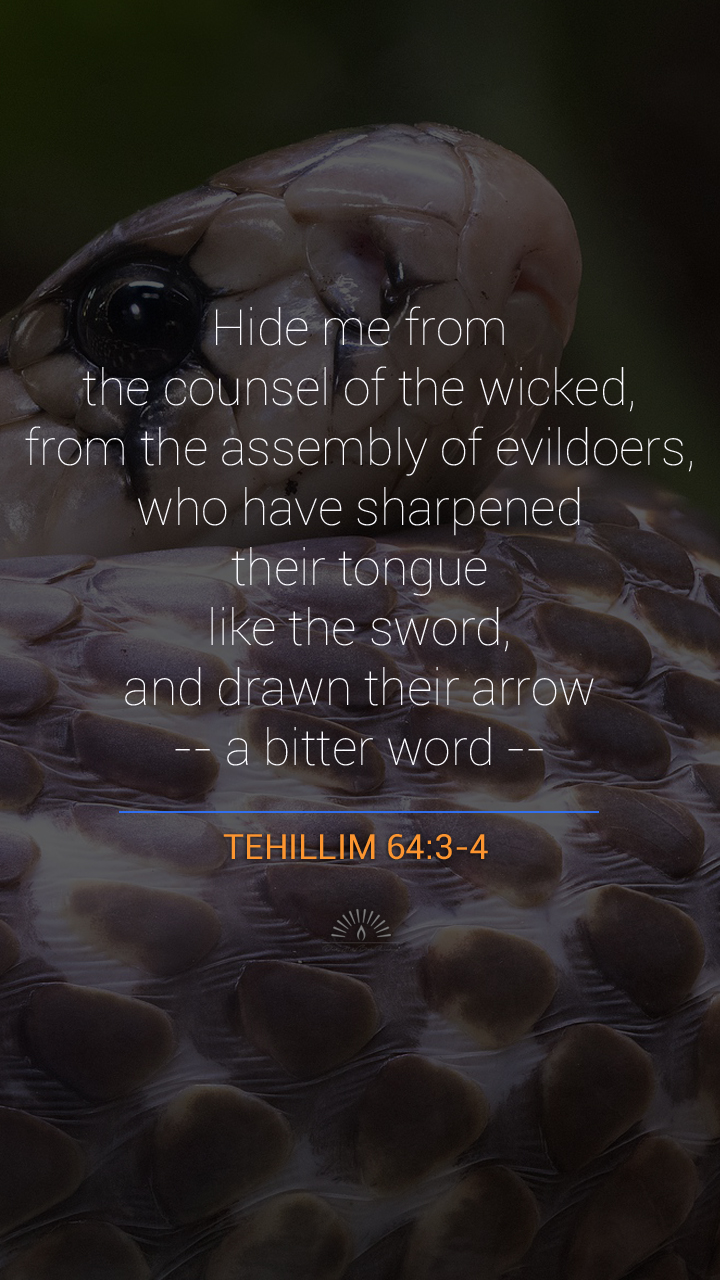 Psalms Chapter 64 | Daily Holy Bible Reading