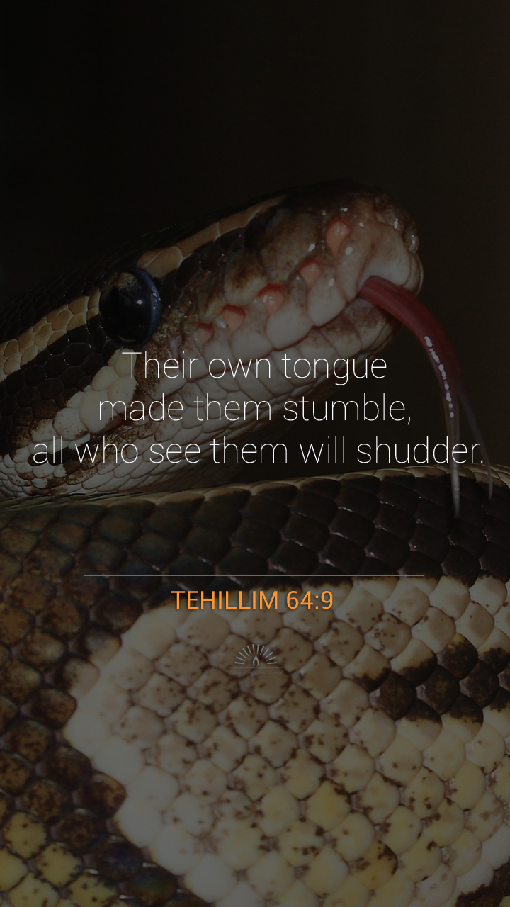 Psalms Chapter 64 | Daily Holy Bible Reading