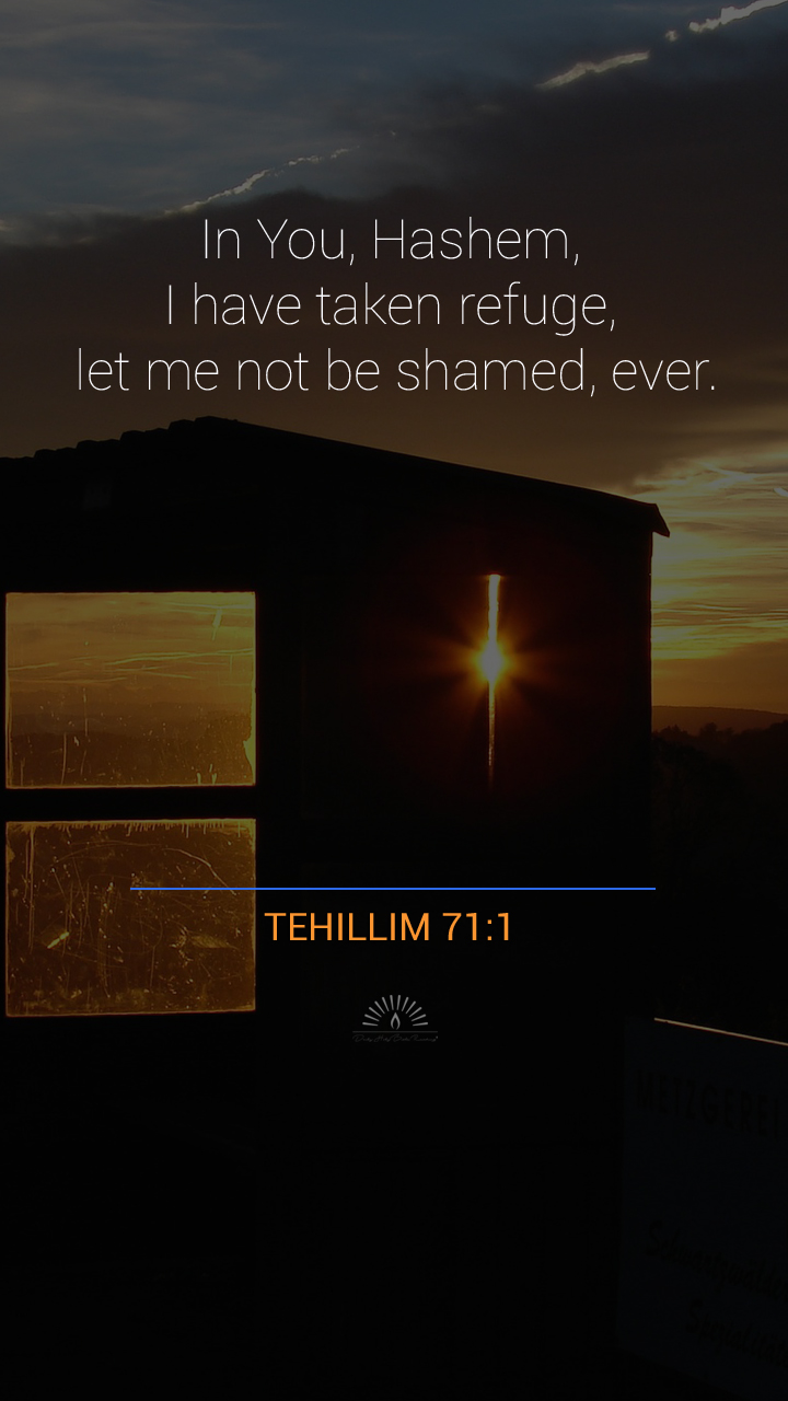 Psalms Chapter 71 | Daily Holy Bible Reading