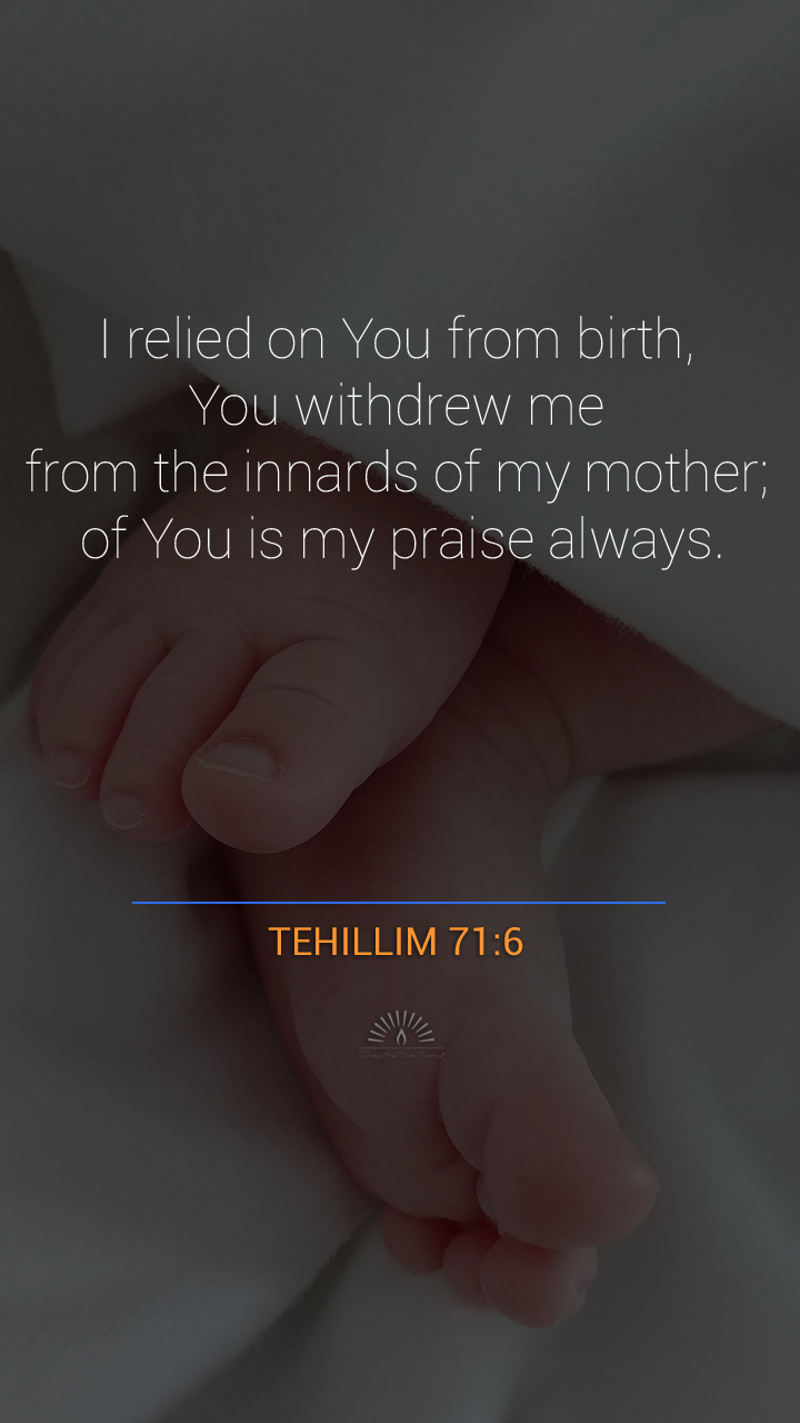 Psalms Chapter 71 | Daily Holy Bible Reading