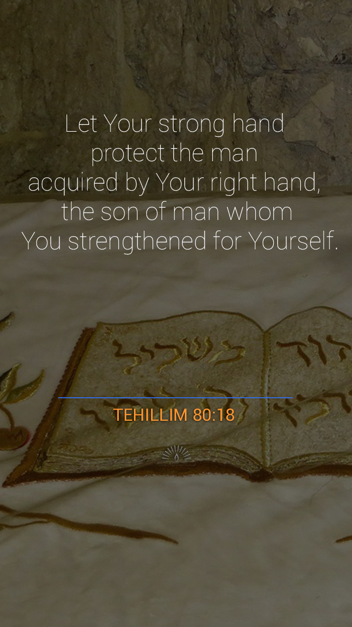 Psalms Chapter 80 | Daily Holy Bible Reading