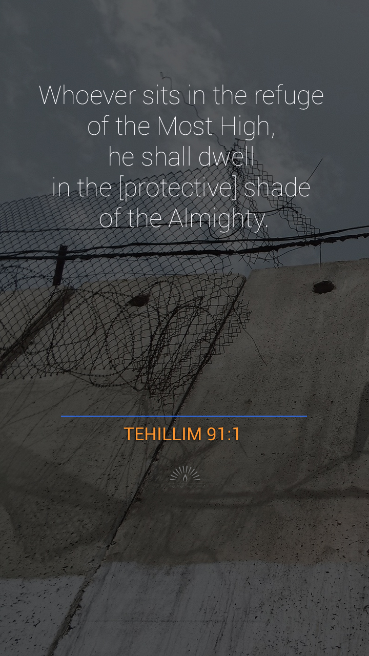 Psalms Chapter 91 | Daily Holy Bible Reading