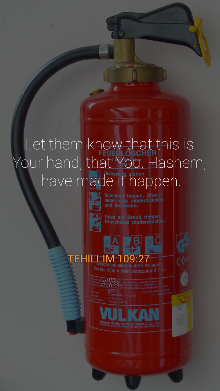 Psalms Chapter 109 | Daily Holy Bible Reading