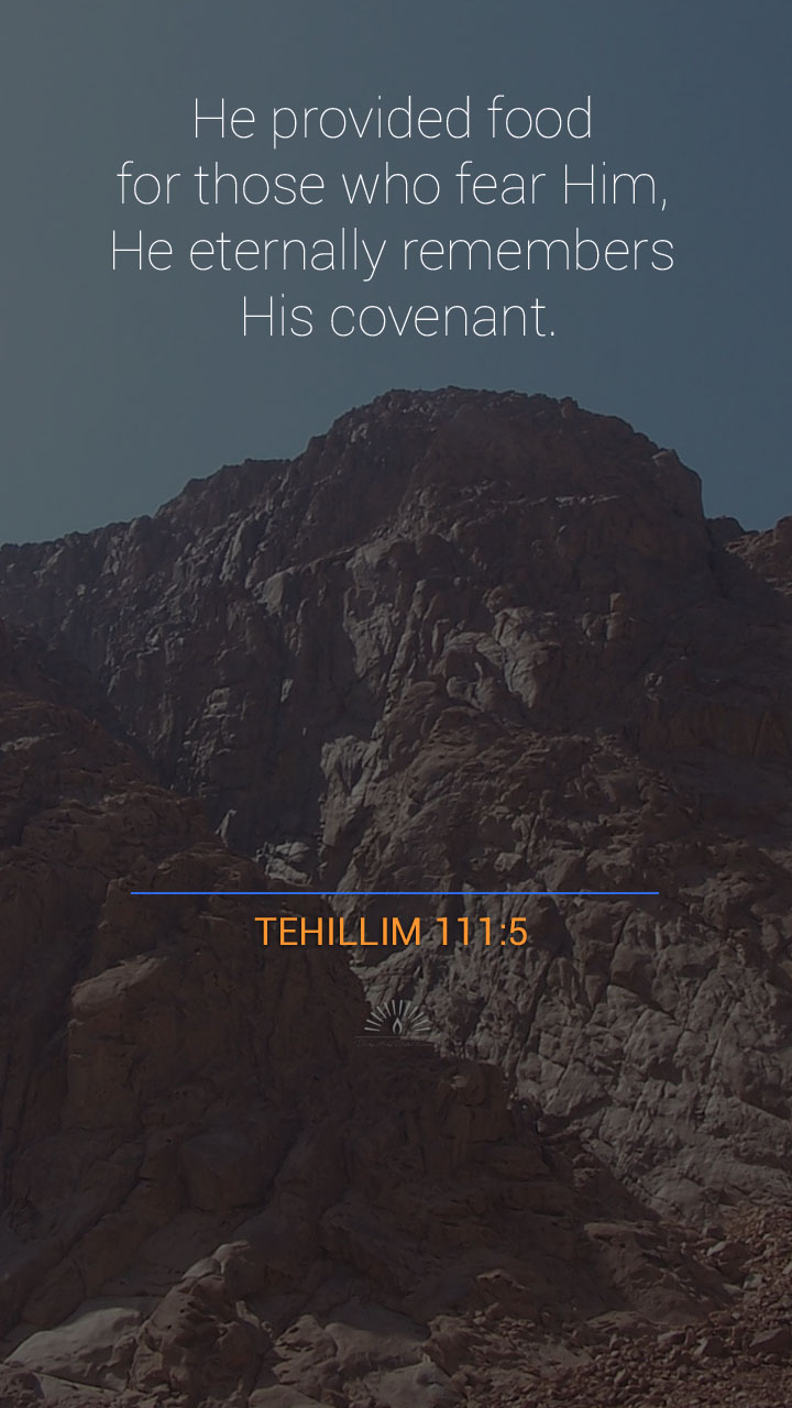 Psalms Chapter 111 | Daily Holy Bible Reading