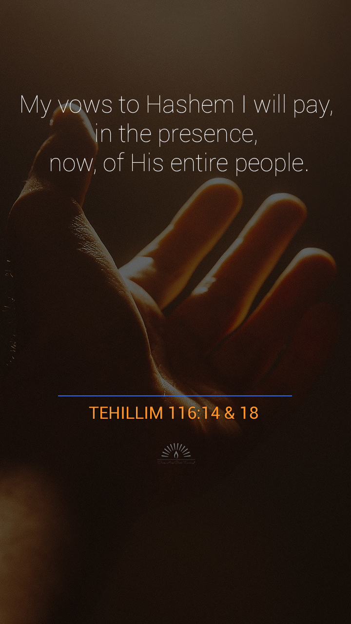 Psalms Chapter 116 | Daily Holy Bible Reading