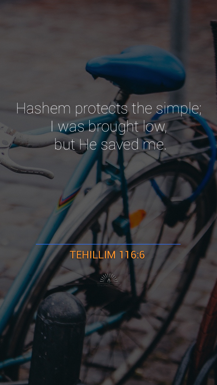 Psalms Chapter 116 | Daily Holy Bible Reading