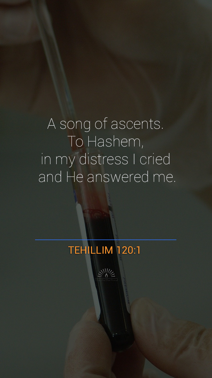 Psalms Chapter 120 | Daily Holy Bible Reading