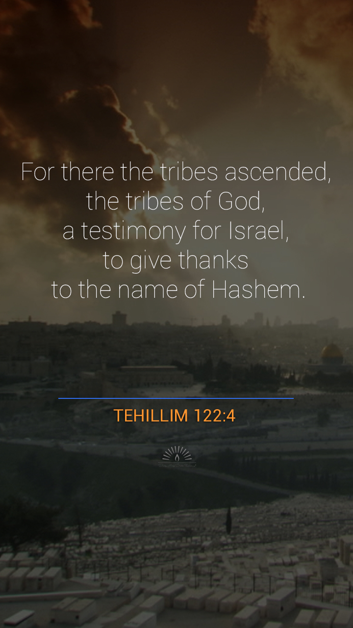 Psalms Chapter 122 | Psalms on the Holiest City on Earth | One Chapter A Day