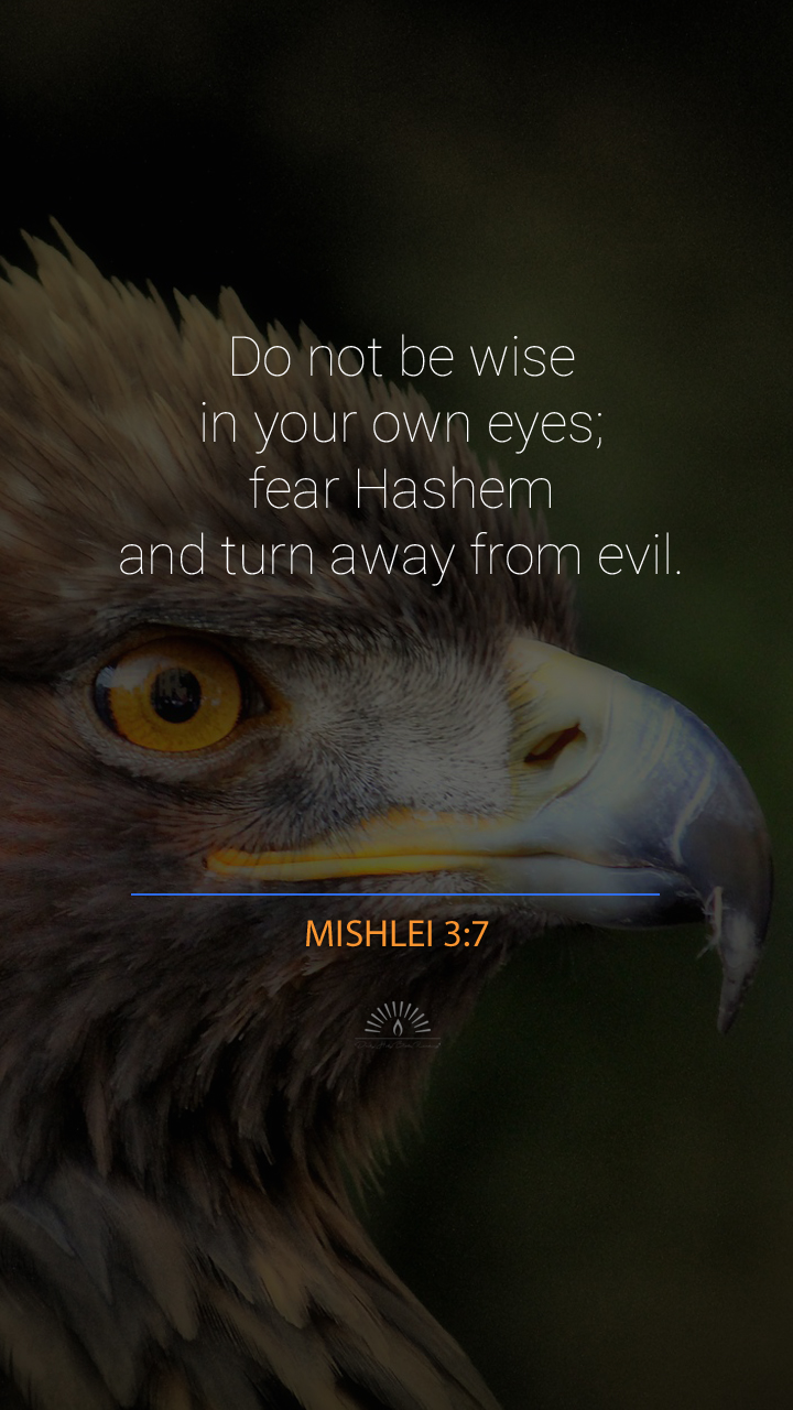 Proverbs Chapter 3 | Daily Holy Bible Reading