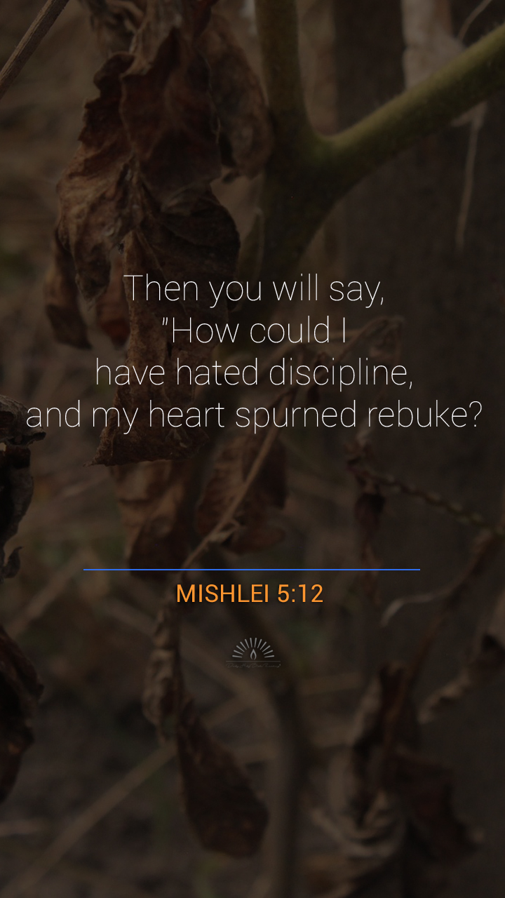 Proverbs Chapter 5 | Daily Holy Bible Reading