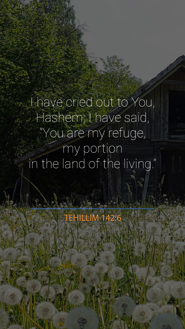 Psalms Chapter 142 | Daily Holy Bible Reading