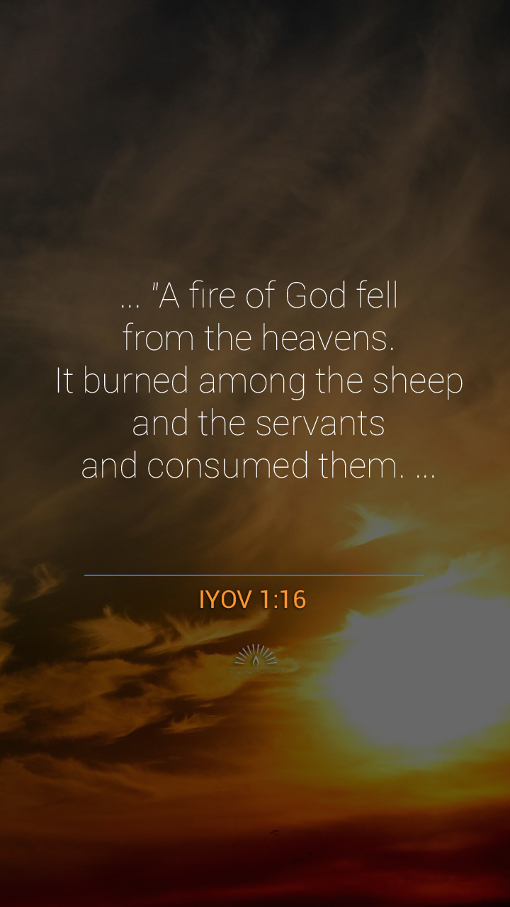 Job Chapter 1 | Daily Holy Bible Reading