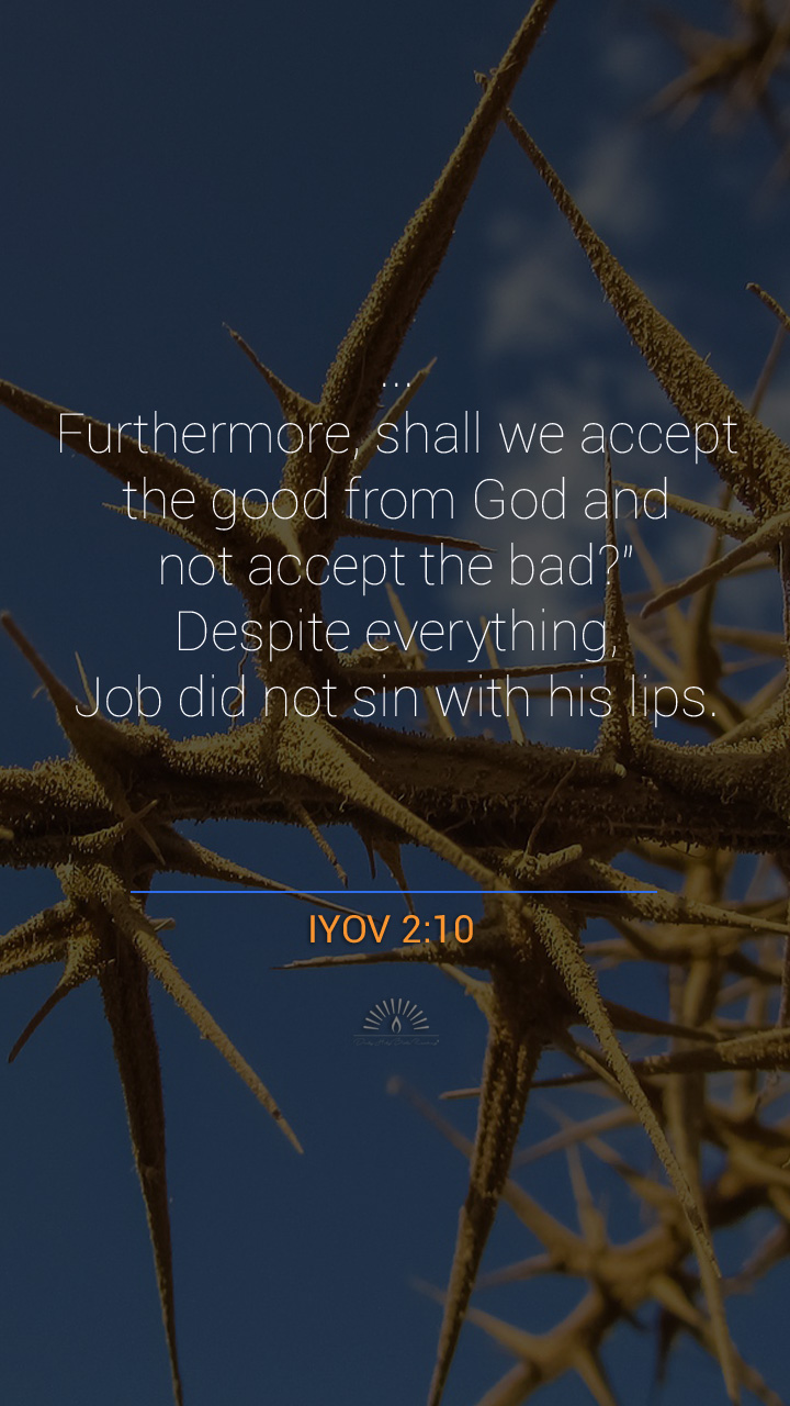 Job Chapter 2 | Job A Much Needed Reminder | One Chapter A Day