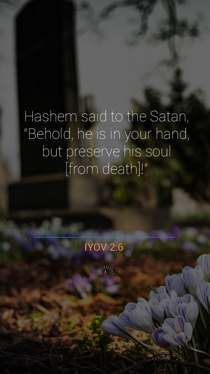 Job Chapter 2 | Daily Holy Bible Reading