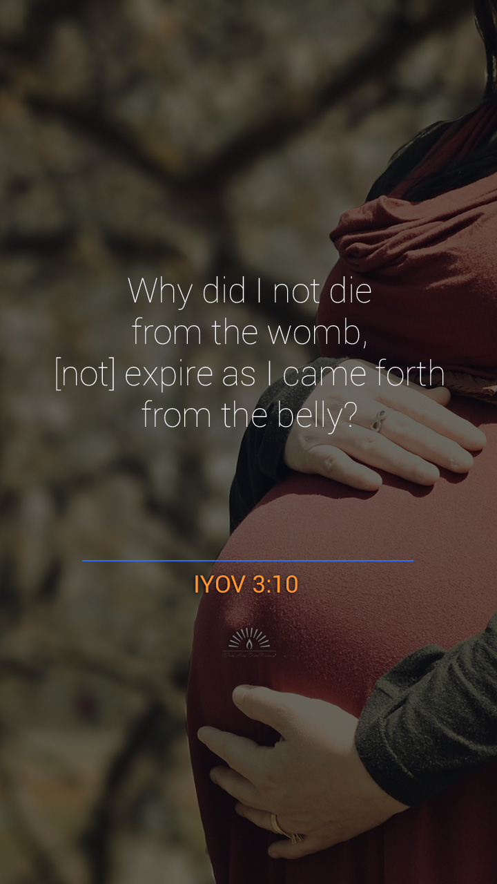 Job Chapter 3 | Daily Holy Bible Reading