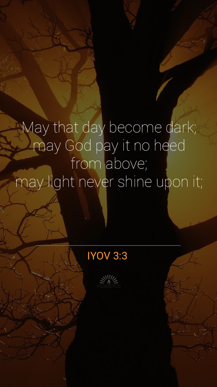 Job Chapter 3 | Daily Holy Bible Reading