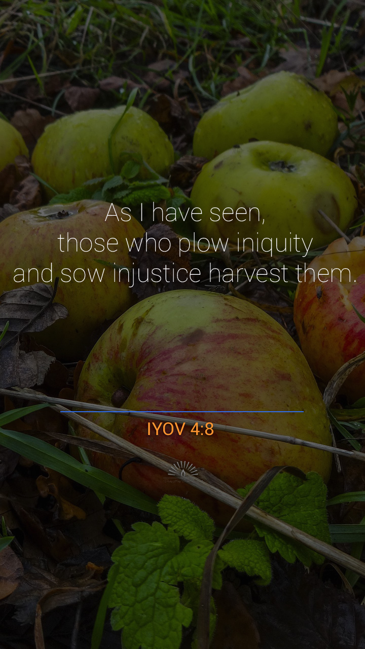 Job Chapter 4 | Daily Holy Bible Reading