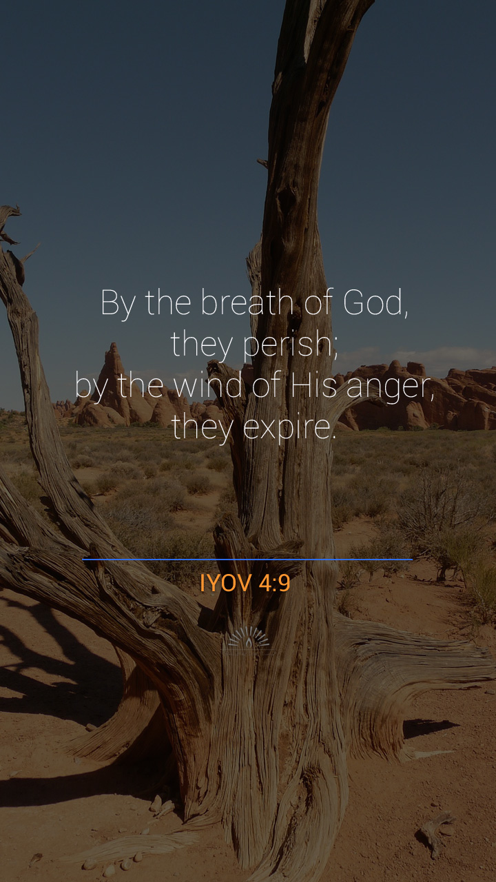 Job Chapter 4 | Daily Holy Bible Reading