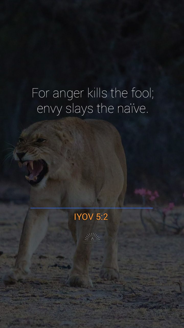 Job Chapter 5 | Daily Holy Bible Reading