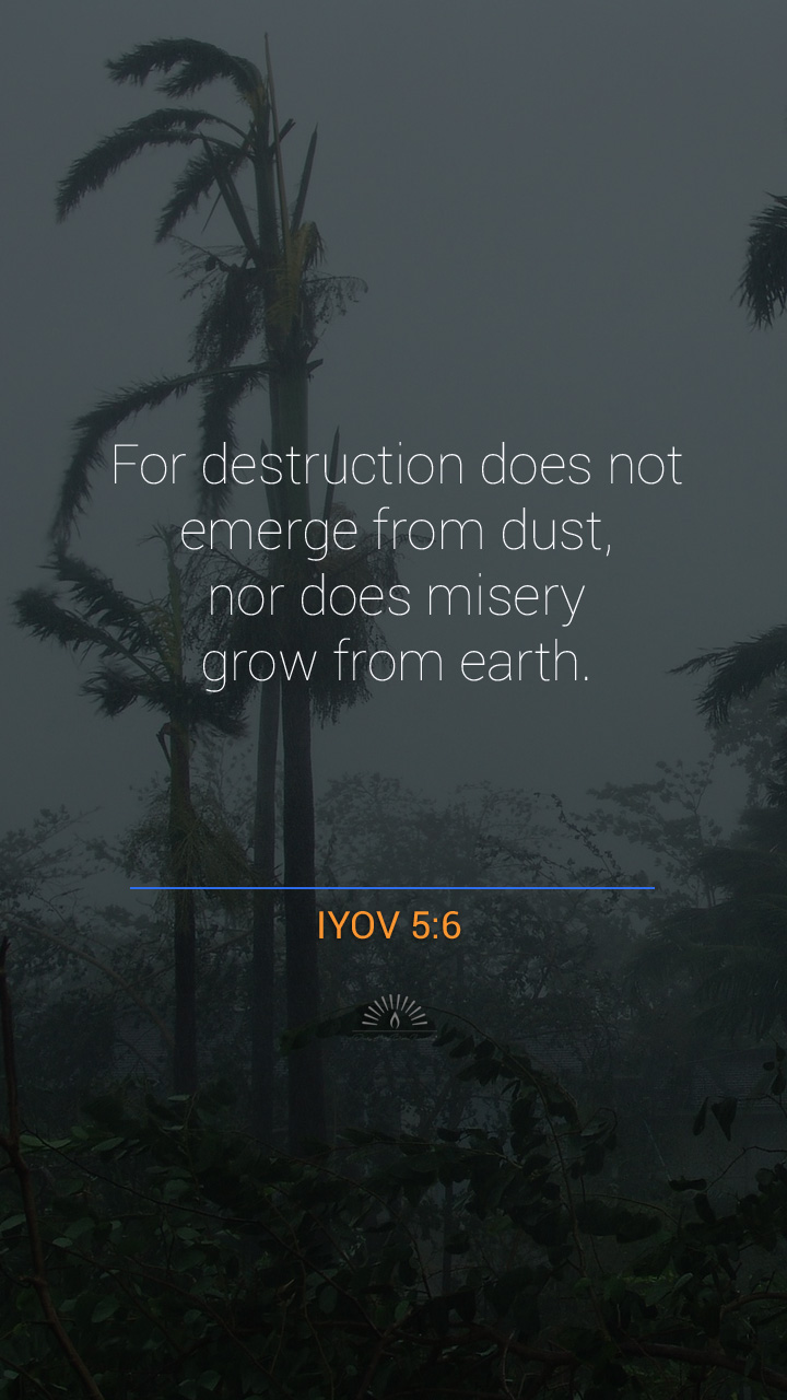 Job Chapter 5 | Daily Holy Bible Reading