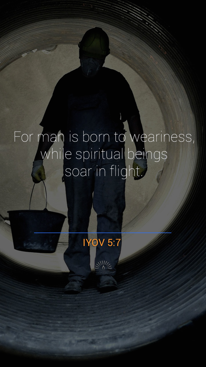 Job Chapter 5 | Daily Holy Bible Reading