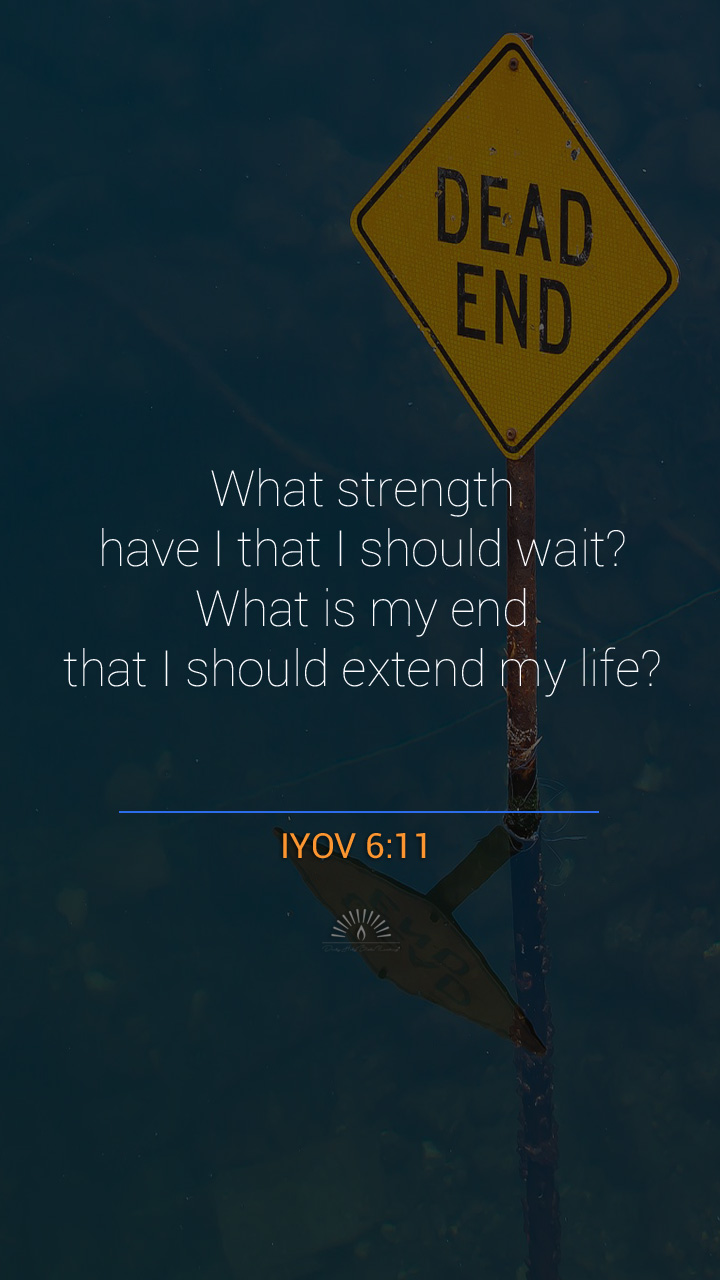 Job Chapter 6 | Daily Holy Bible Reading