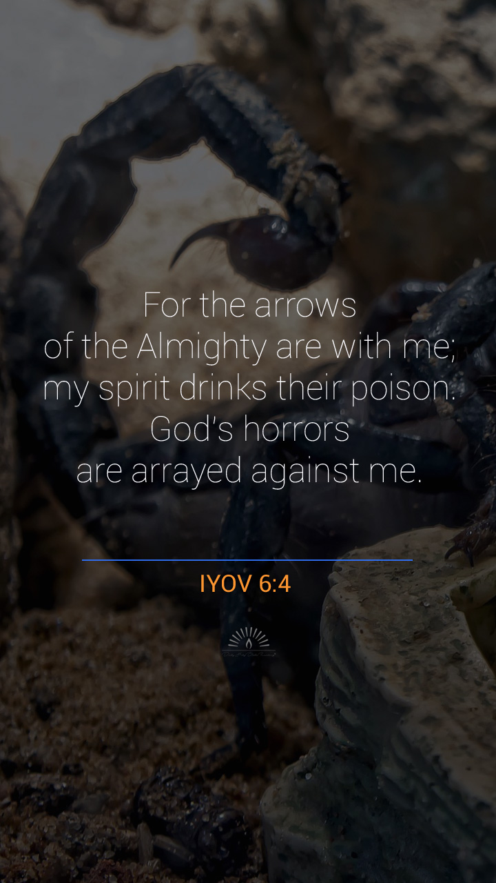 Job Chapter 6 | Daily Holy Bible Reading