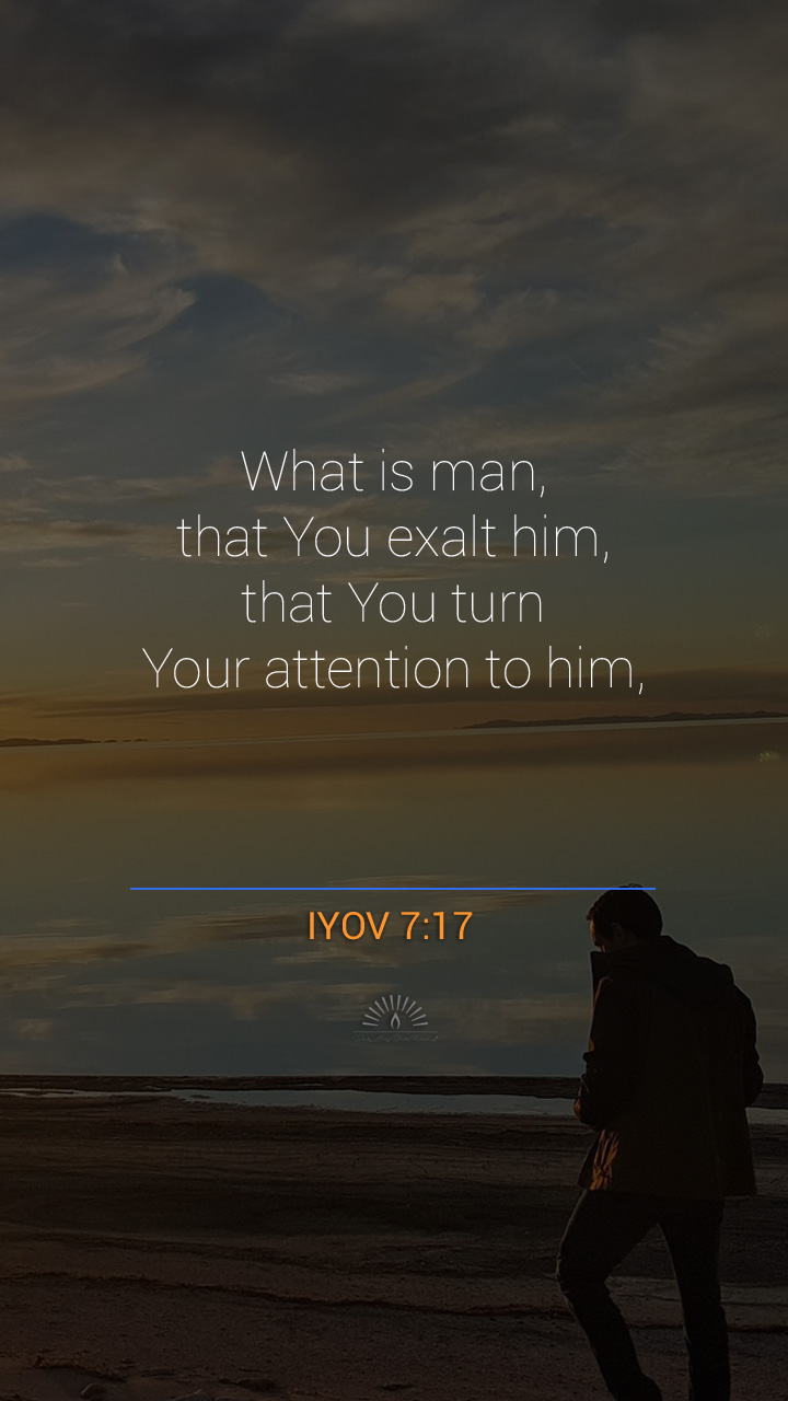 Job Chapter 7 | Daily Holy Bible Reading