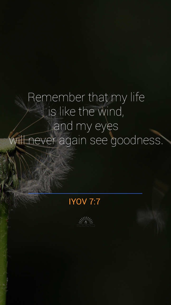 Job Chapter 7 | Daily Holy Bible Reading