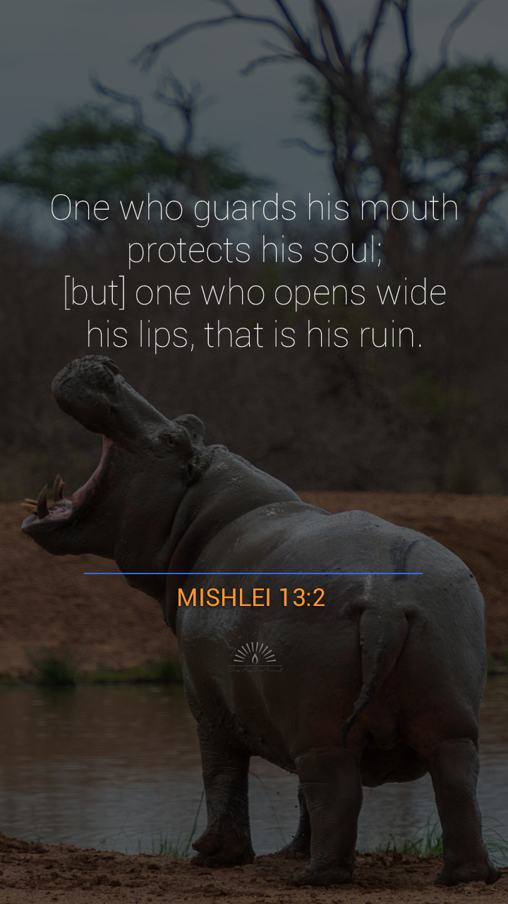 Proverbs Chapter 13 | Daily Holy Bible Reading