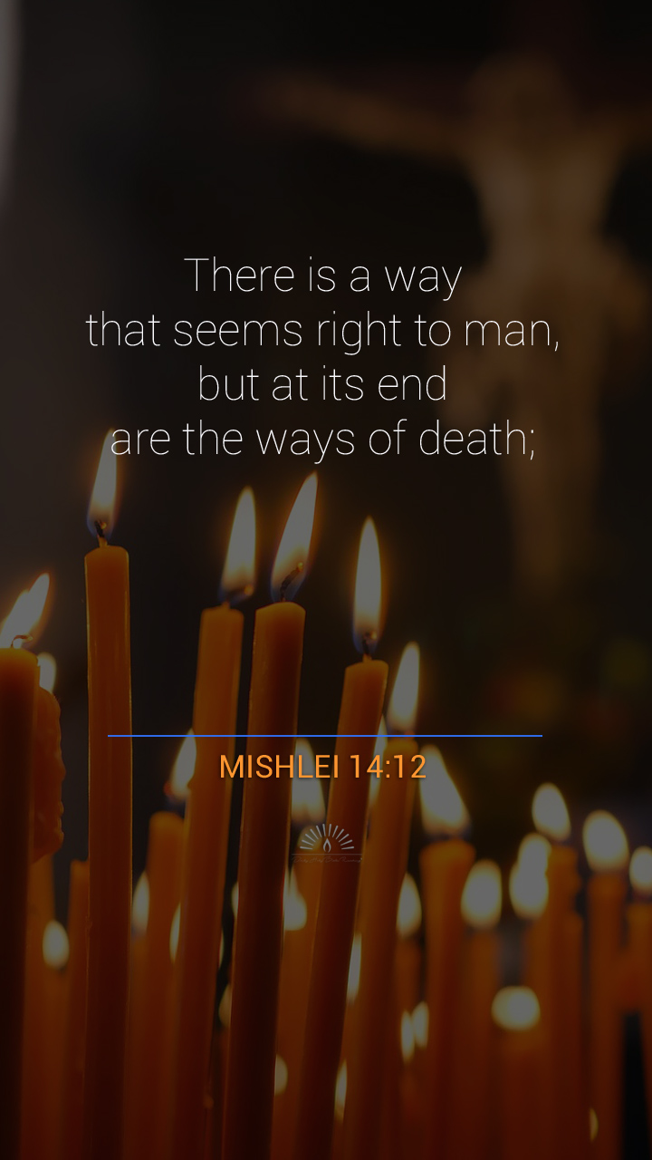 Proverbs Chapter 14 | Daily Holy Bible Reading