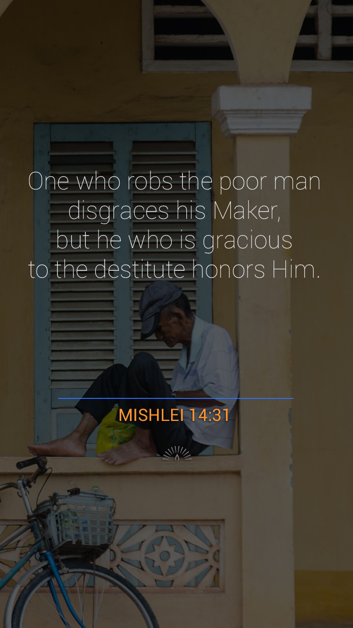 Proverbs Chapter 14 | Daily Holy Bible Reading