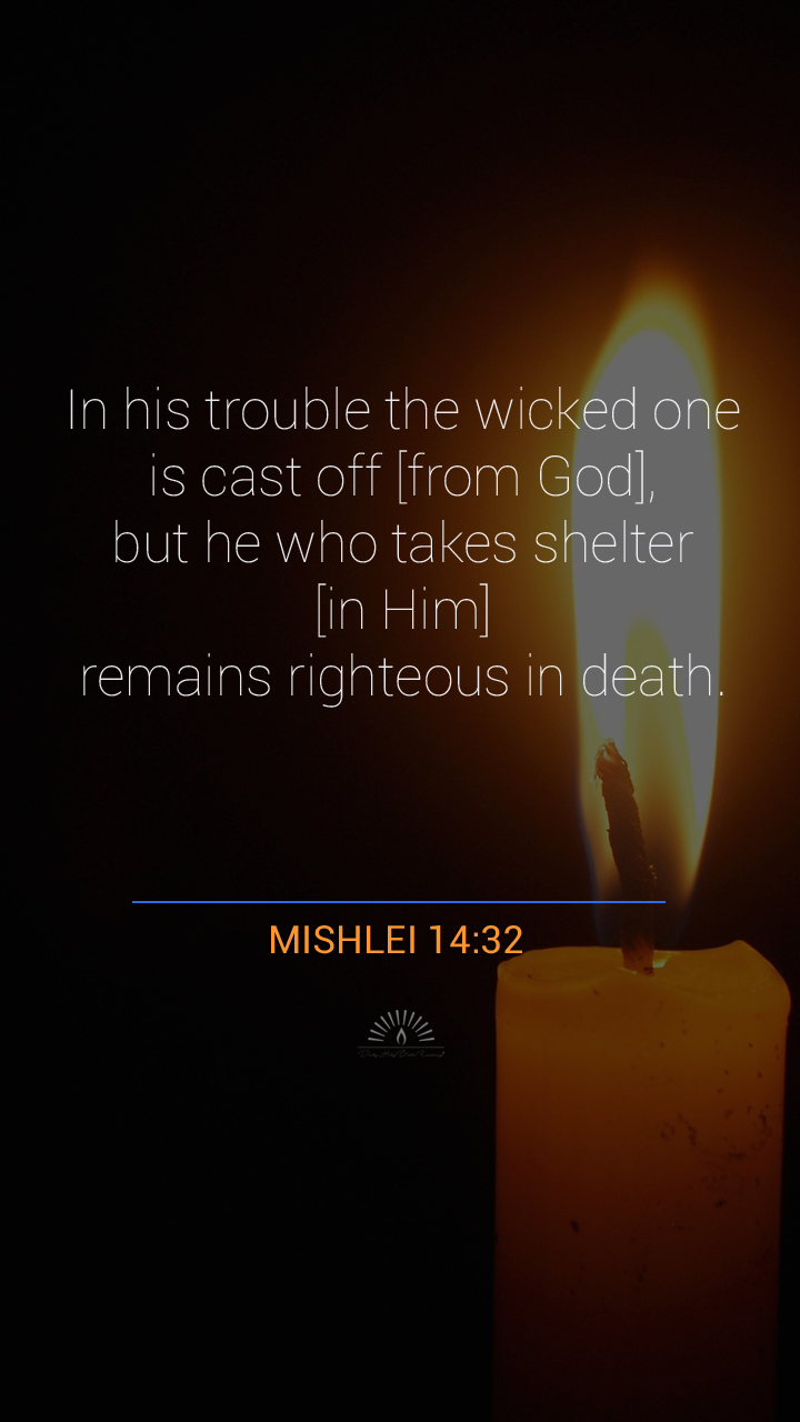 Proverbs Chapter 14 | Daily Holy Bible Reading