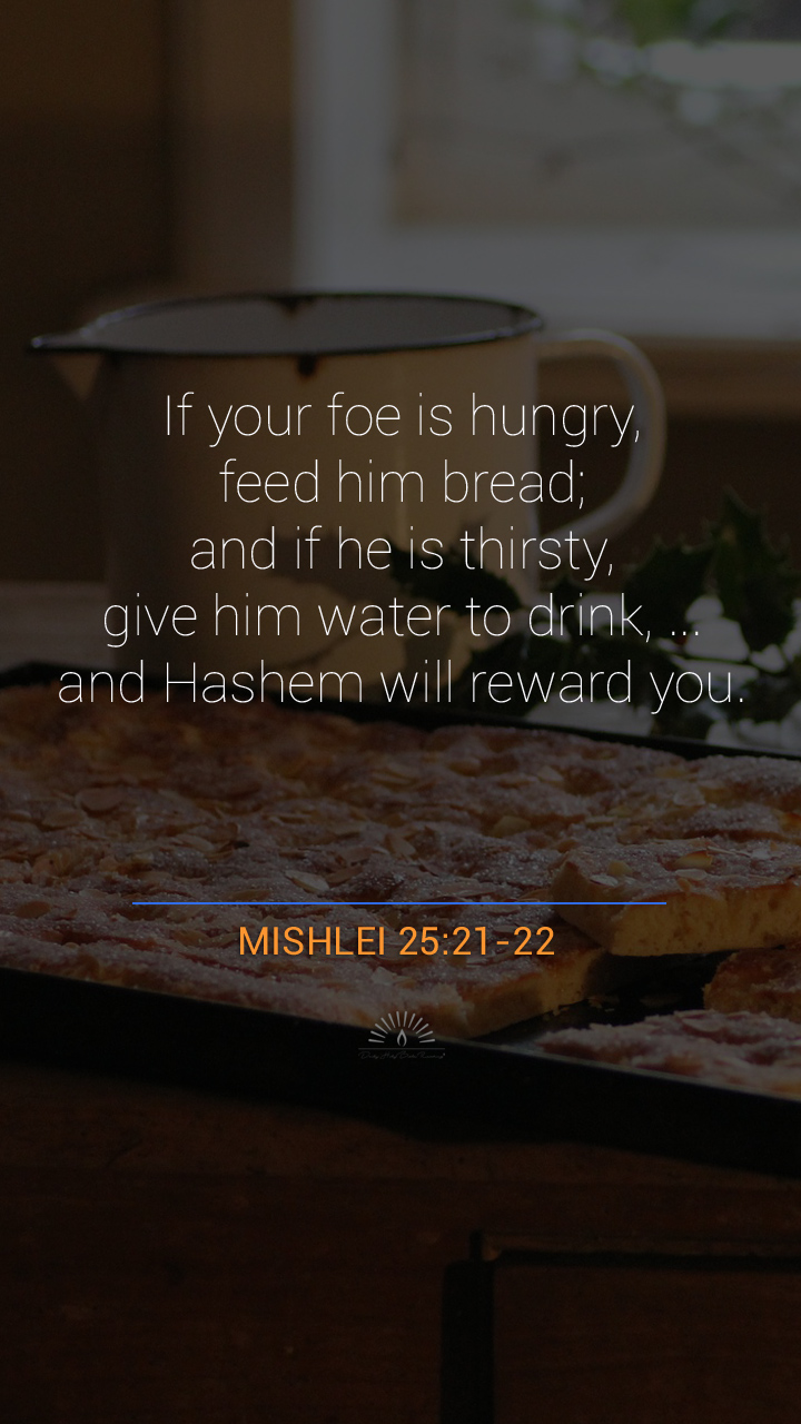 Proverbs Chapter 25 | Daily Holy Bible Reading