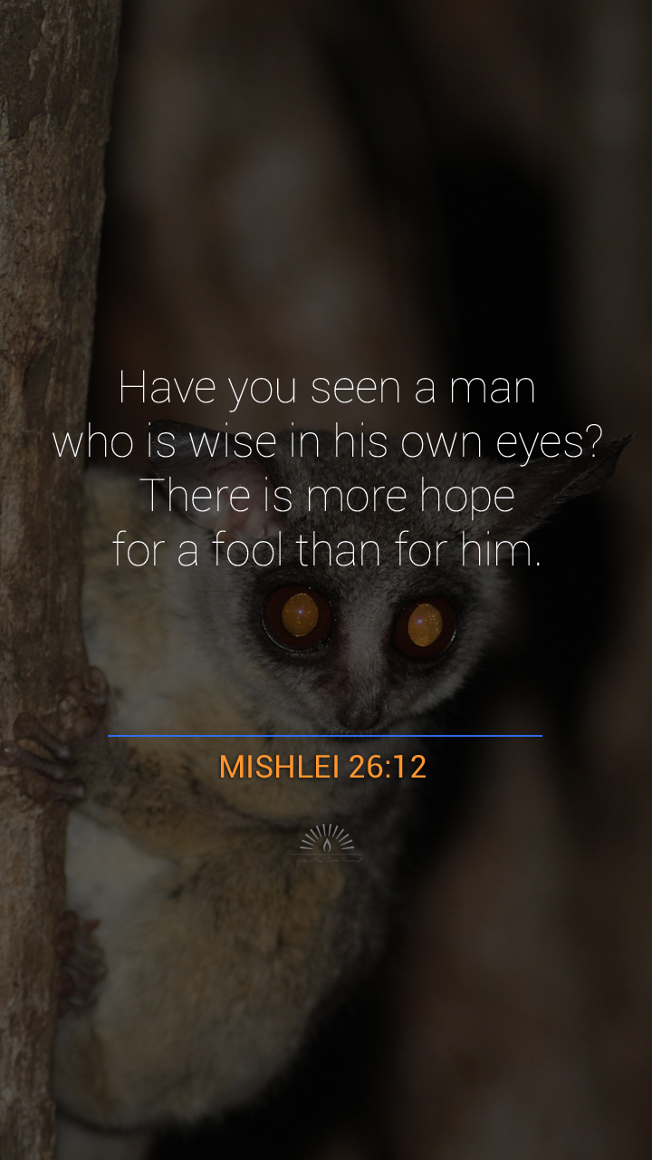 Proverbs Chapter 26 | Daily Holy Bible Reading