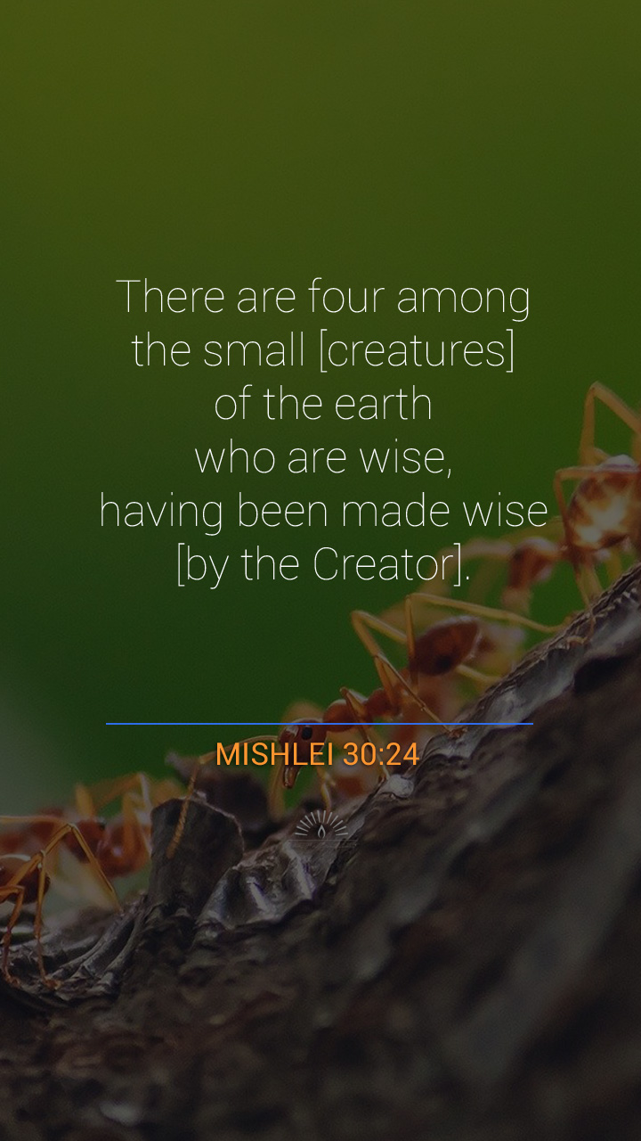 Proverbs Chapter 30 | Daily Holy Bible Reading