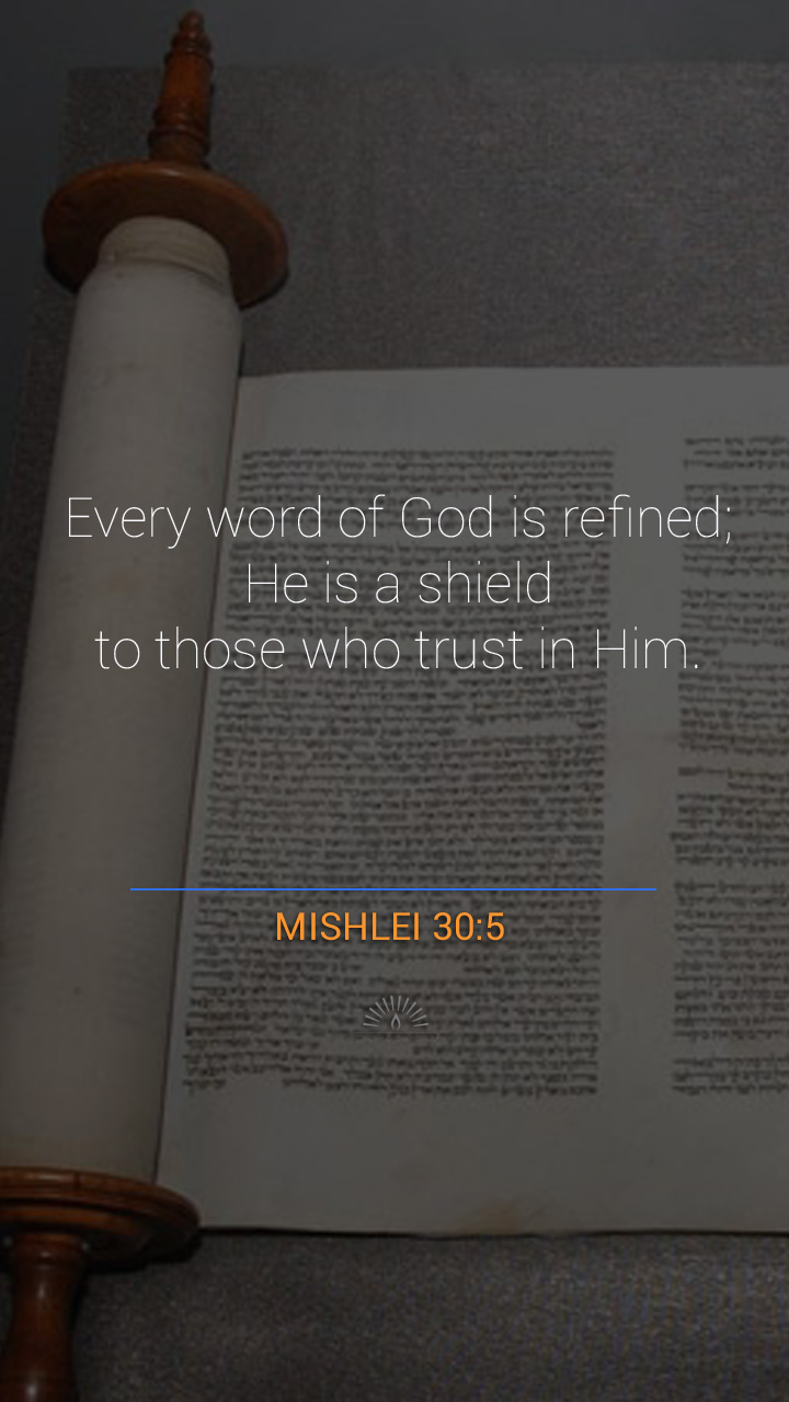 Proverbs Chapter 30 | Daily Holy Bible Reading