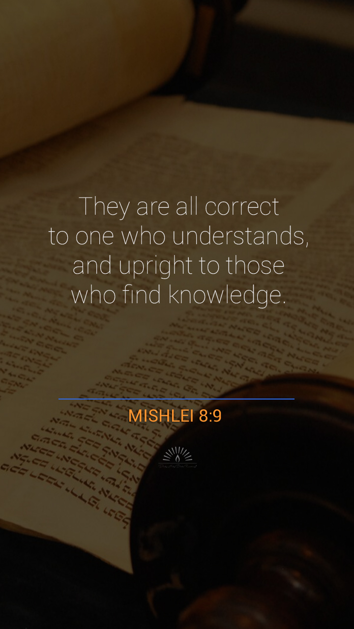 Proverbs Chapter 8 | Daily Holy Bible Reading