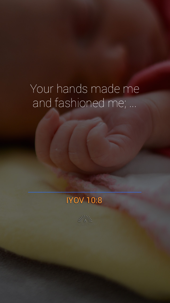 Job Chapter 10 | Daily Holy Bible Reading