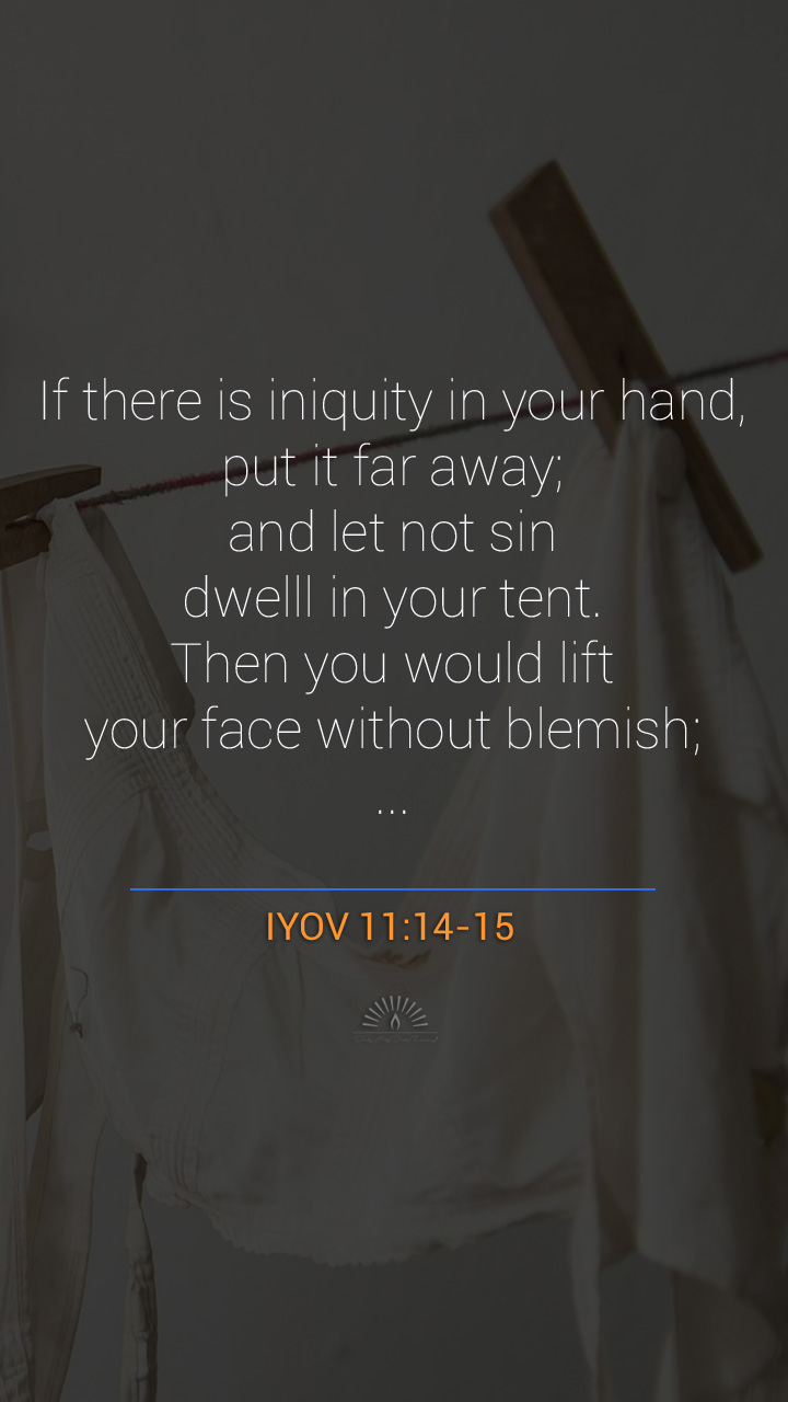 Job Chapter 11 | Daily Holy Bible Reading