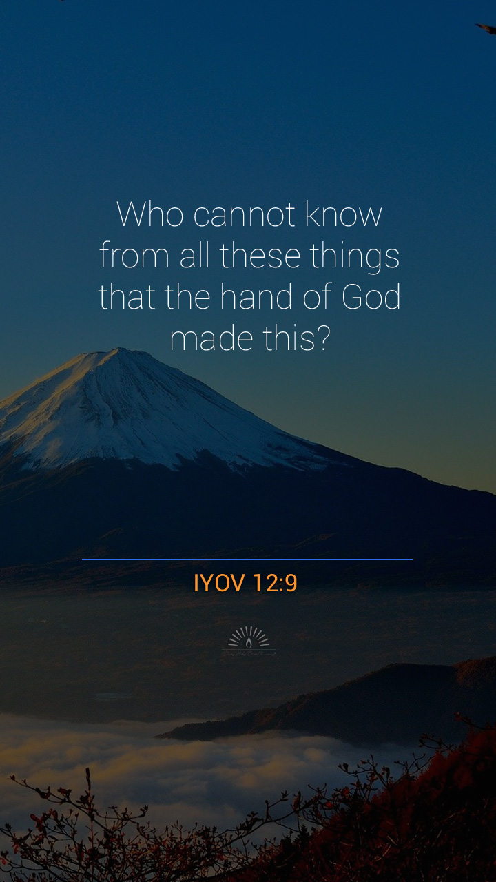 Job Chapter 12 | Daily Holy Bible Reading