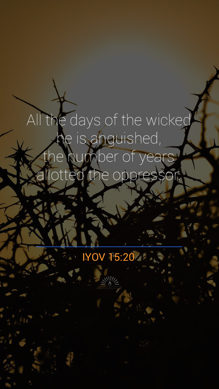 Job Chapter 15 | Daily Holy Bible Reading