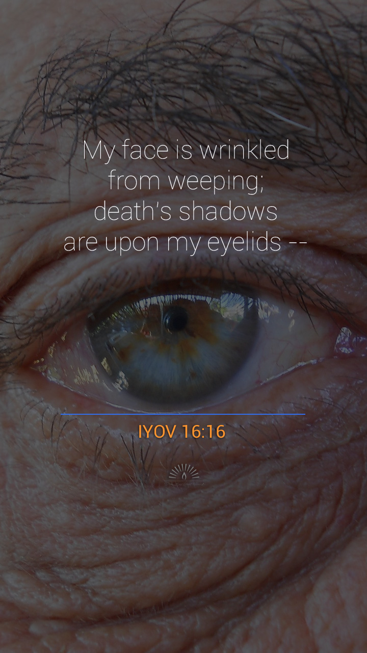 Job Chapter 16 | Daily Holy Bible Reading