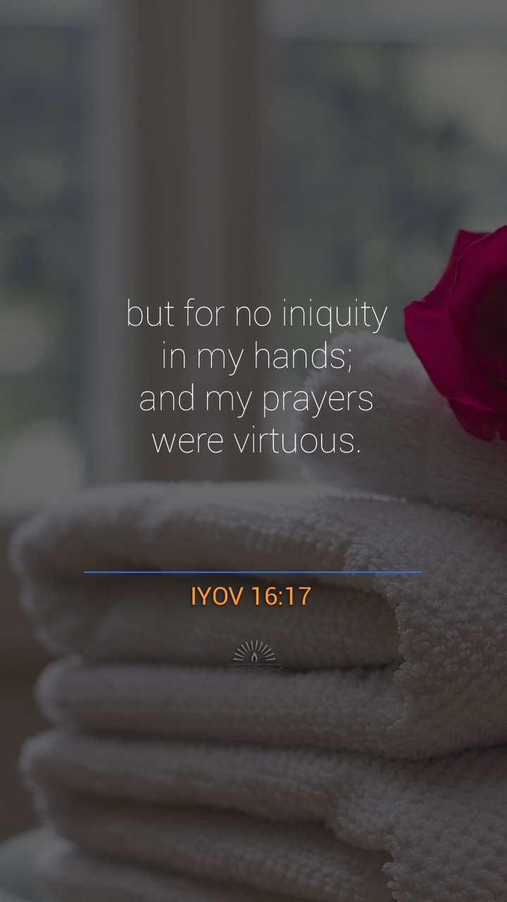 Job Chapter 16 | Daily Holy Bible Reading